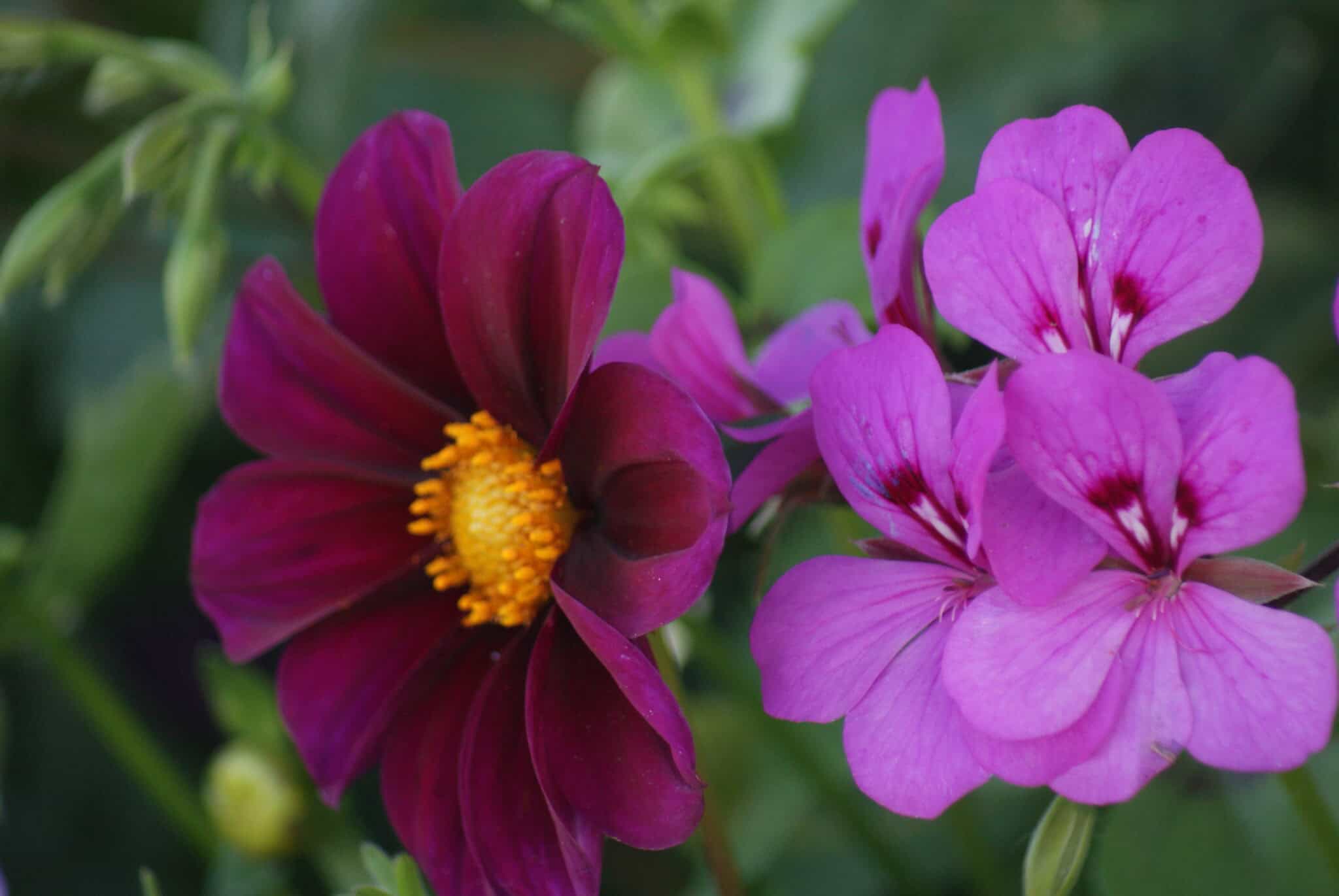 Bindestrich oder Mediopunkt?